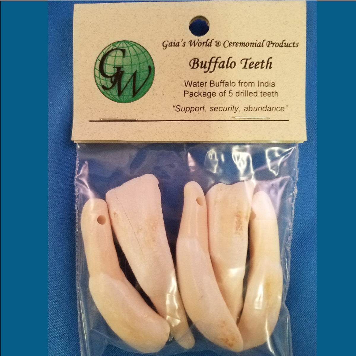 Buffalo Teeth drilled, 5 in pack – Leapin Lizards